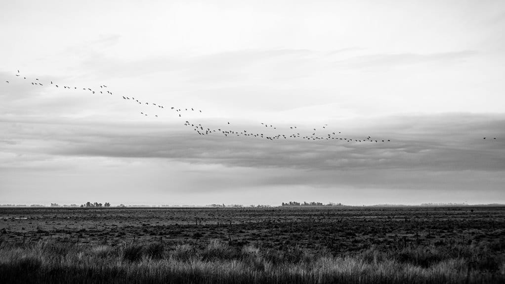 Migrating From On-Premise to a Cloud Saas: a Phased Implementation Plan ...